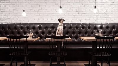 Recenze - Bistro à Table • Mapy.com