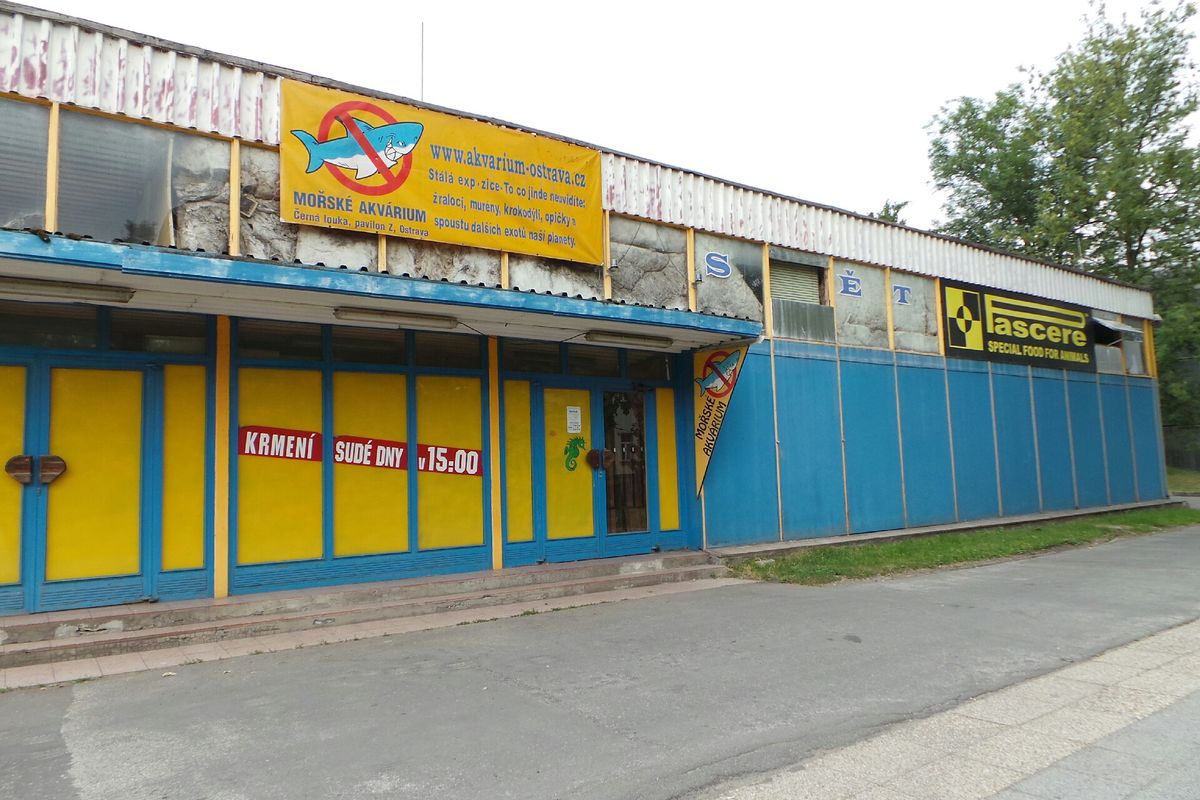 World of Animals - Mořské akvárium (Ostrava, Moravská Ostrava) • Firmy.cz