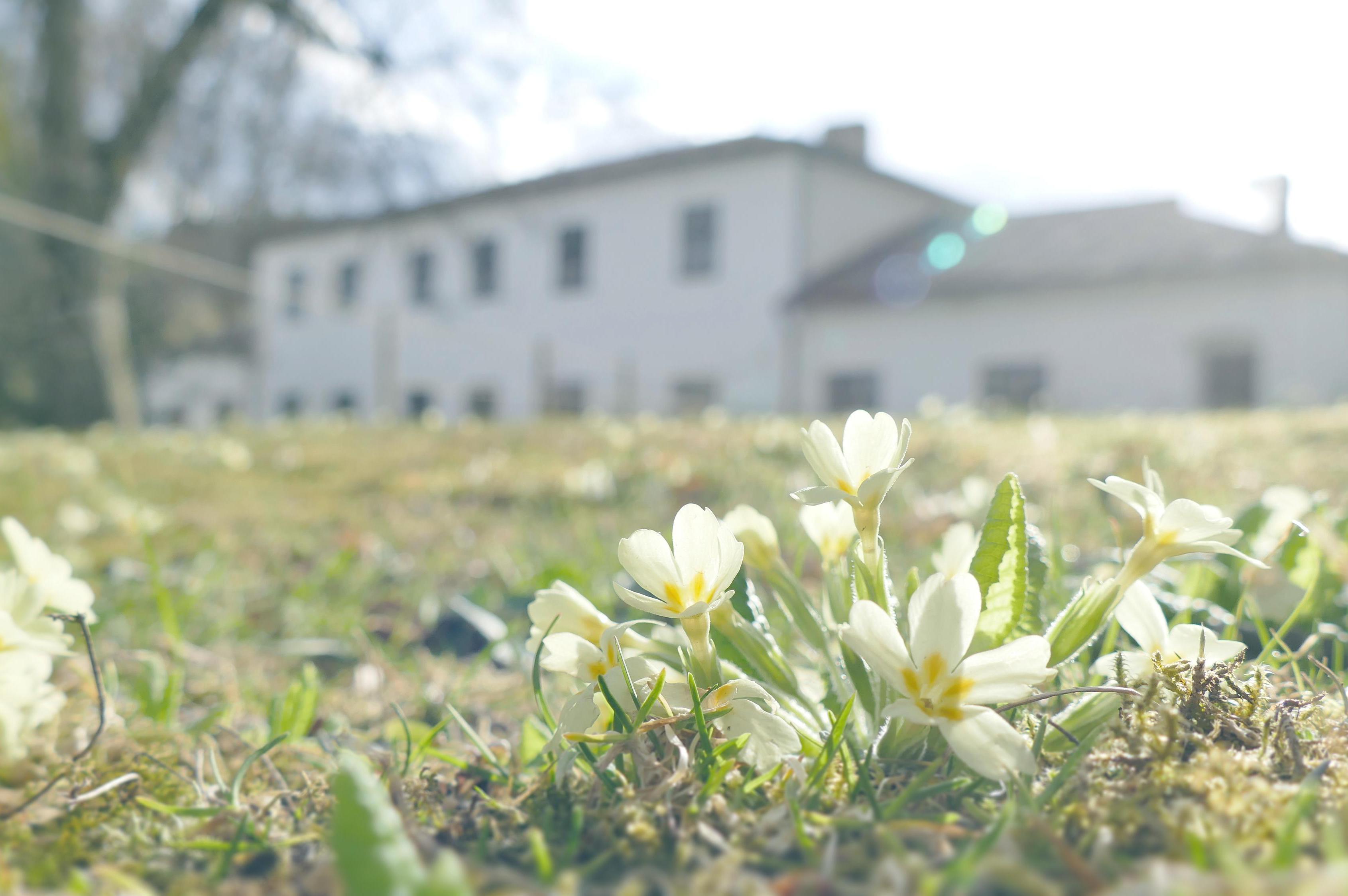 Pobočky Nezámek Plzeňský kraj • Firmy.cz