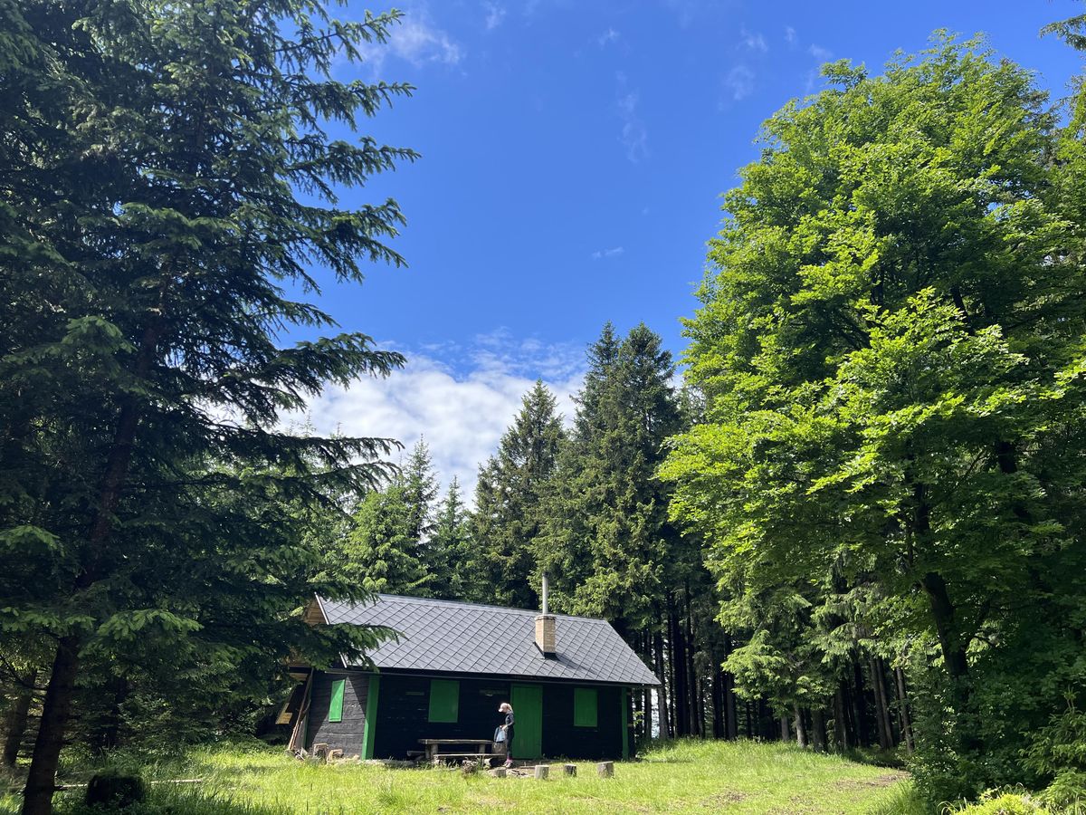 Chata Lysý vrch (Bělá pod Pradědem, Domašov) • Firmy.cz