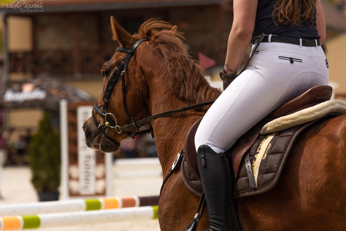 Jezdecký klub Písty (Budyně nad Ohří, Písty) • Firmy.cz