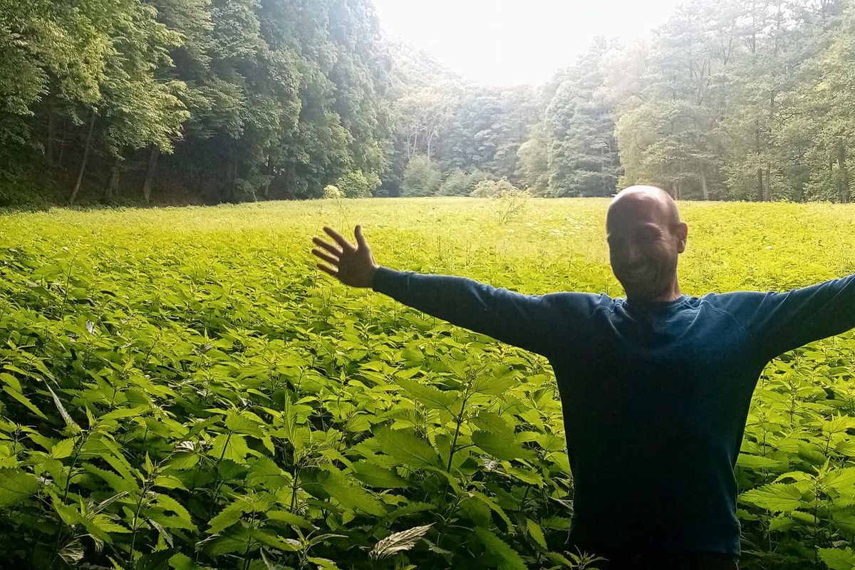 z-koprivy.cz (Vlčice), IČO 07935731, adresa • Firmy.cz