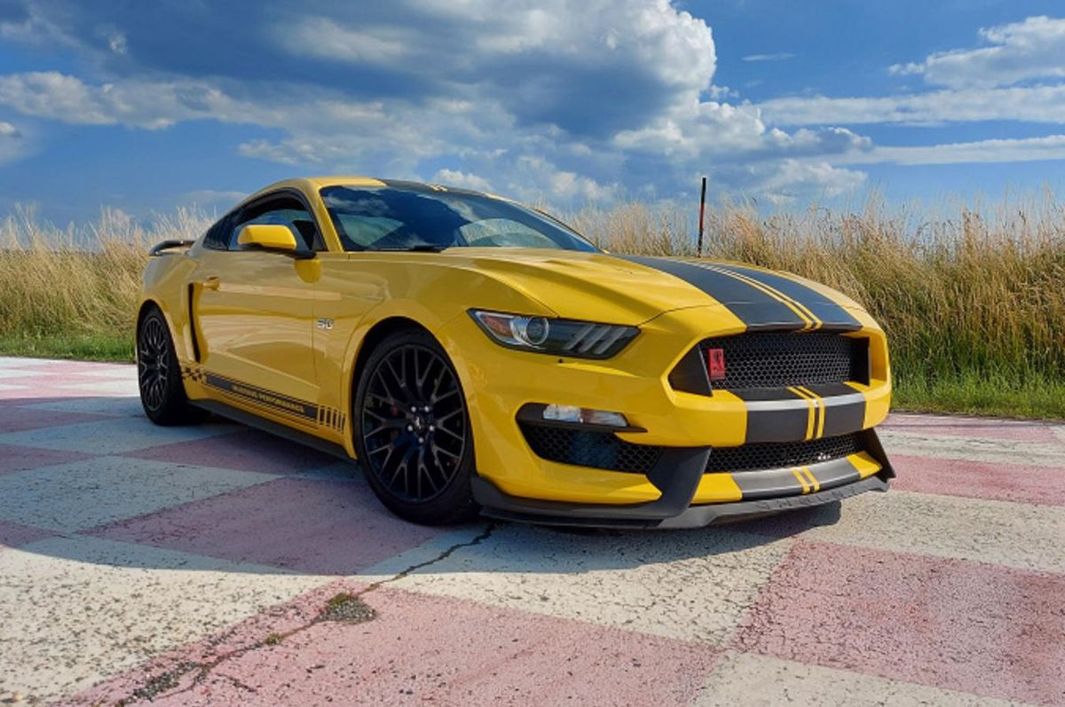 Srncův Mustang (Mohelnice) • Firmy.cz