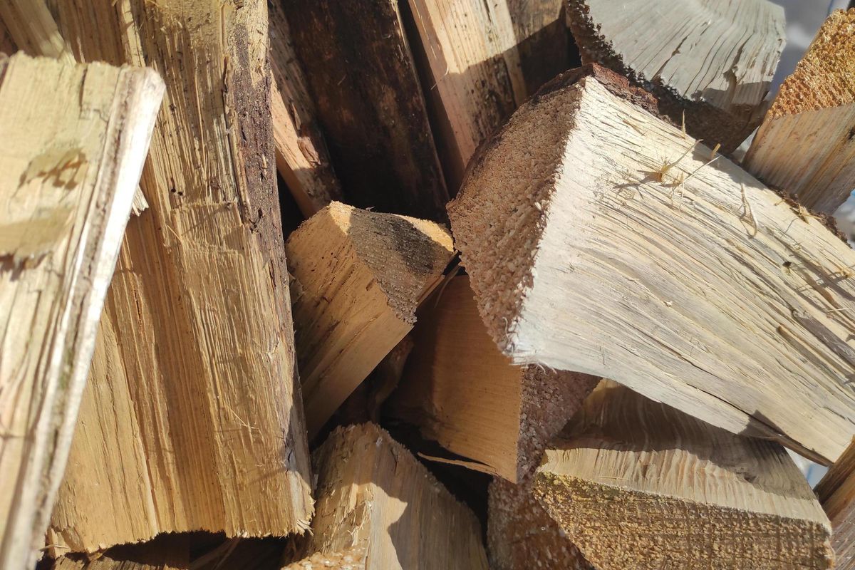 Michal Musil (Tasov) • Firmy.cz