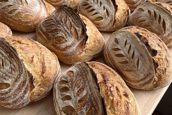 Darina Bakery (Rožnov pod Radhoštěm) • Firmy.cz