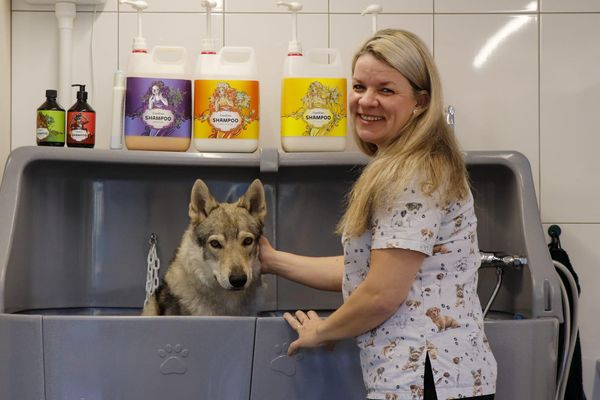 Psí salon Wolf (Rýmařov) • Firmy.cz