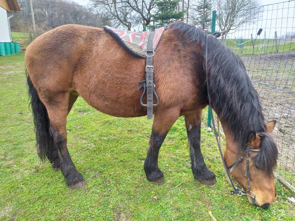 Ubytování Šťastný statek (Provodín) • Firmy.cz