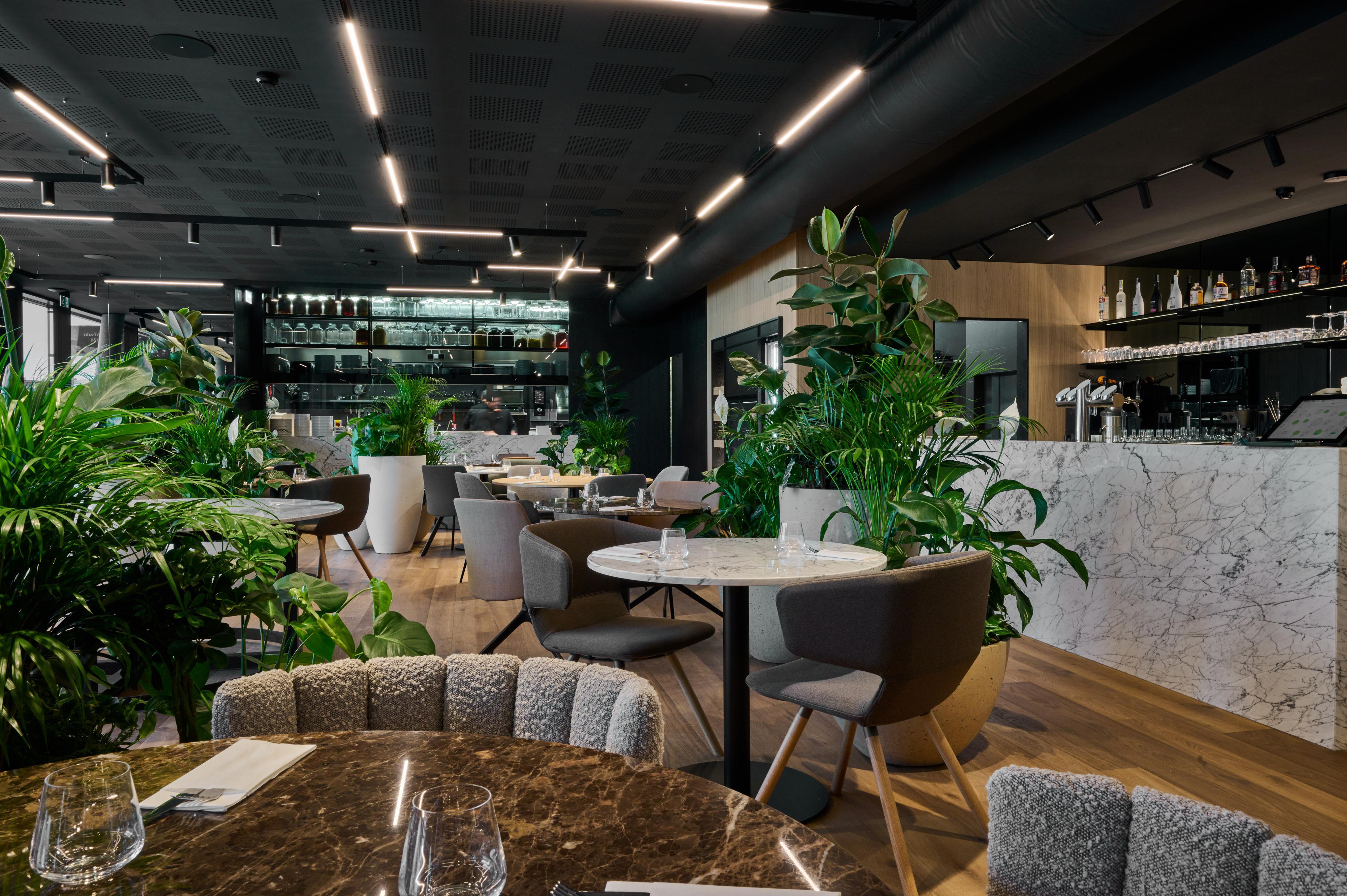 Café Kitchen (Olomouc, Hodolany) • Firmy.cz