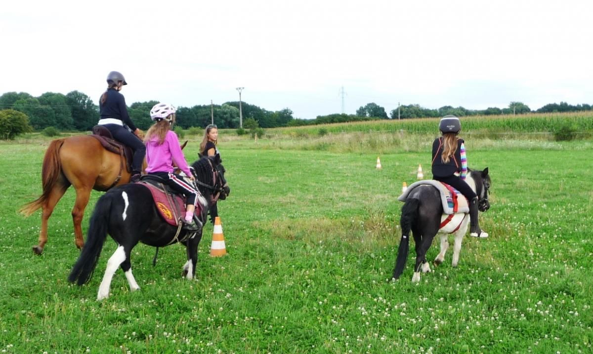 Sportovní stáj Equirex (Bohumín, Šunychl) • Firmy.cz