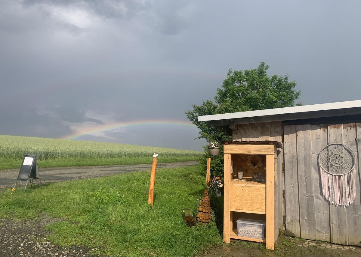 Vejce z Veselice (Vavřinec, Veselice), IČO 04900758, adresa a telefon • Firmy.cz