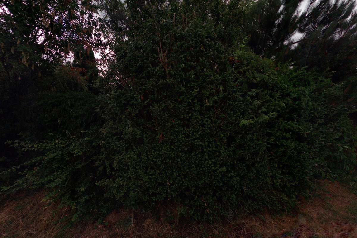 Pobočky Potisk triček a pracovních oděvů Brno - Irena Šimíková Brno ...