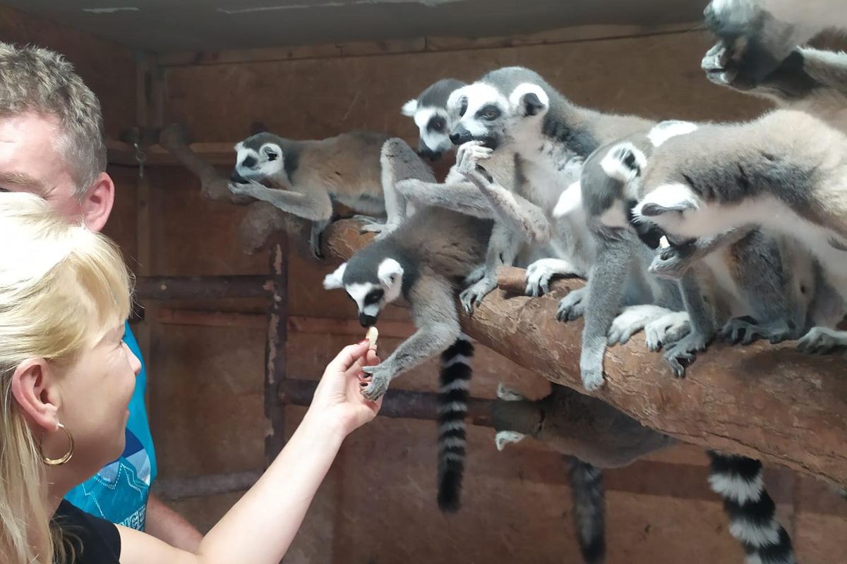 Minizoo.cz (Kostomlaty pod Řípem) • Firmy.cz