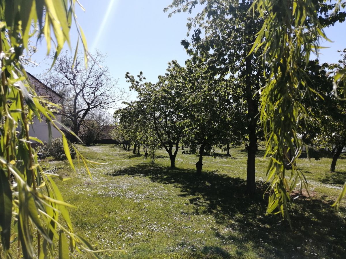Camp Slivenec (Praha, Slivenec) • Firmy.cz