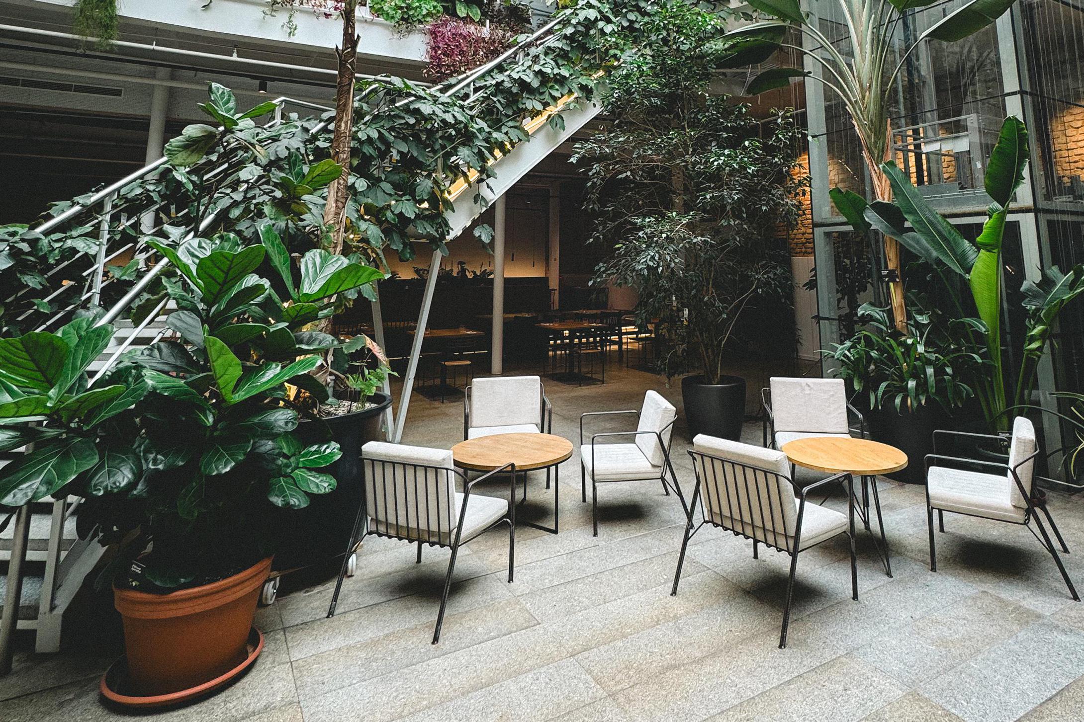 Mazel Vinohrady (Praha, Vinohrady) • Firmy.cz