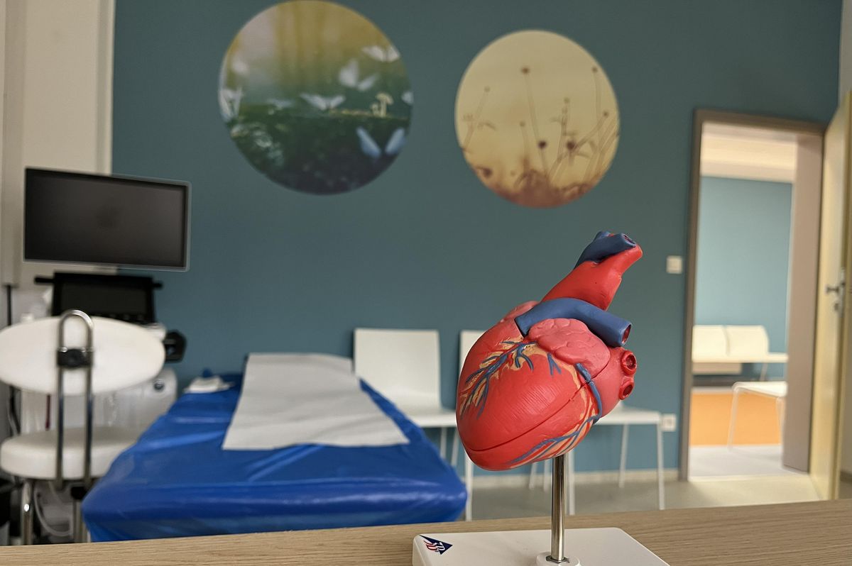 KARDIF, kardiologie dětská i fetální (Brno, Veveří) • Firmy.cz